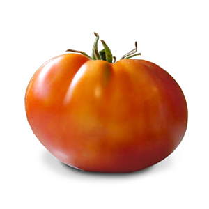 New Pioneer Food Co-op | Your Local, Organic Grocery Store